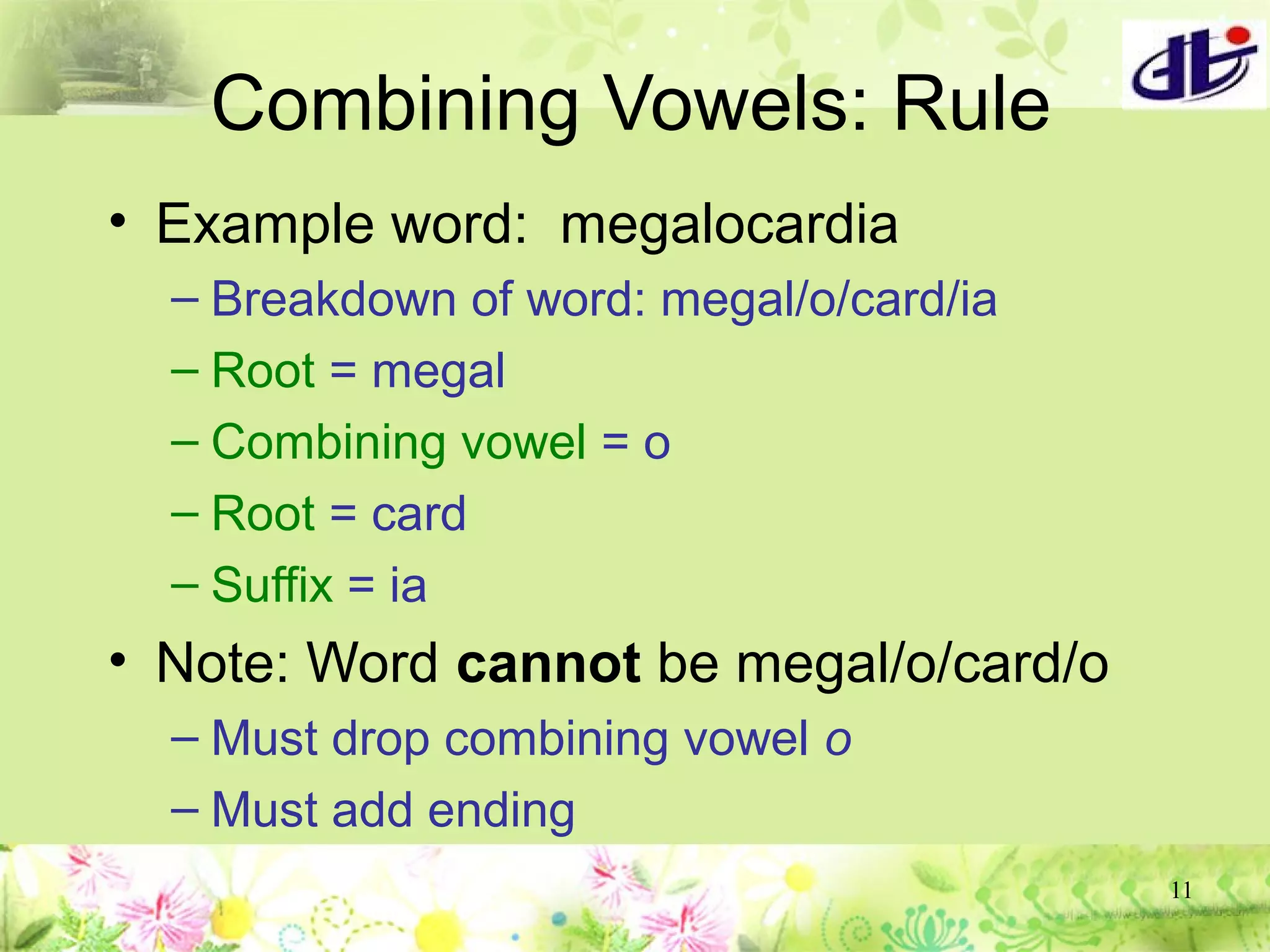 Chapter01 wordbuildingrules Terminology | PPT