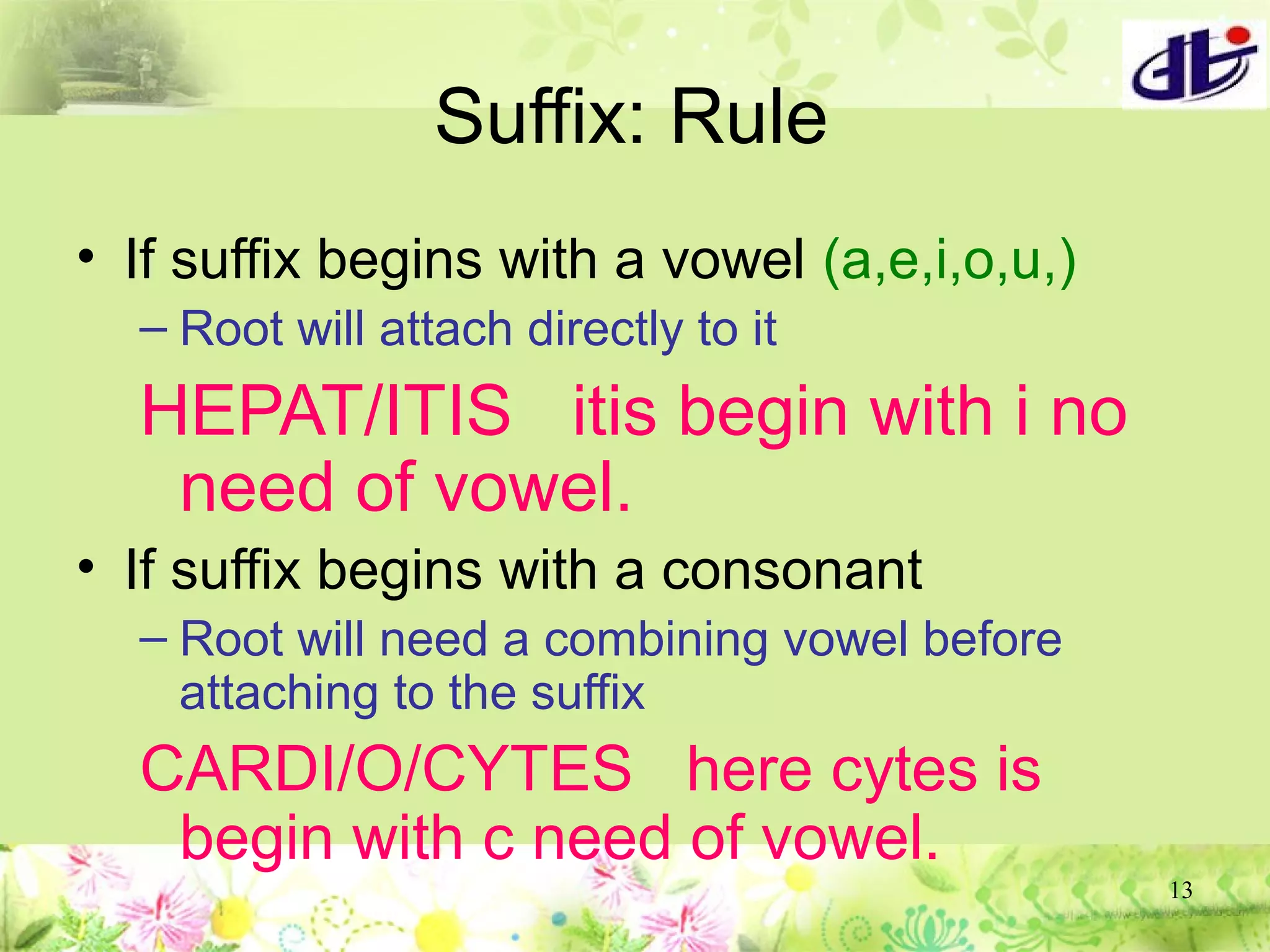 Chapter01 wordbuildingrules Terminology | PPT