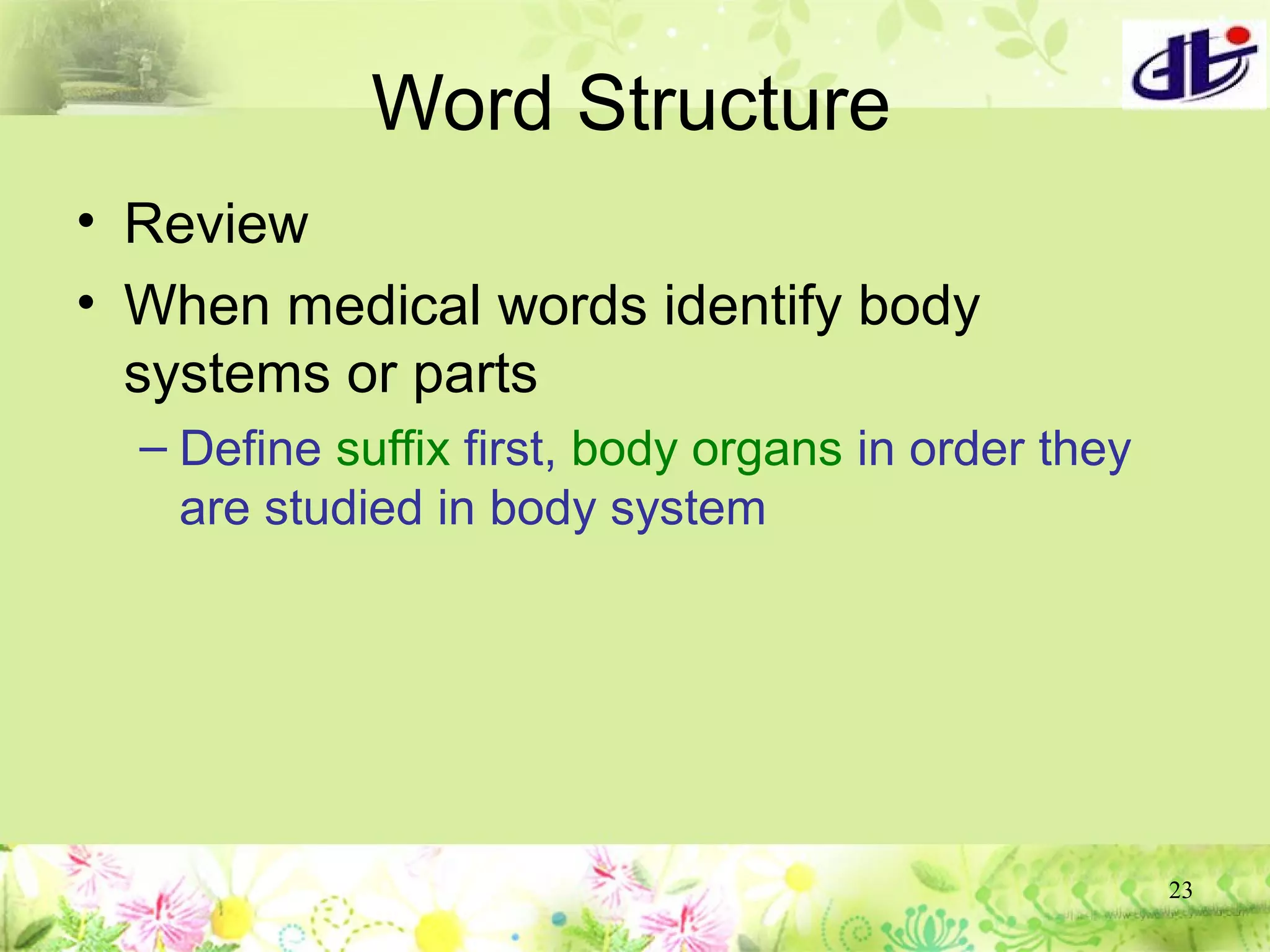Chapter01 wordbuildingrules Terminology | PPT