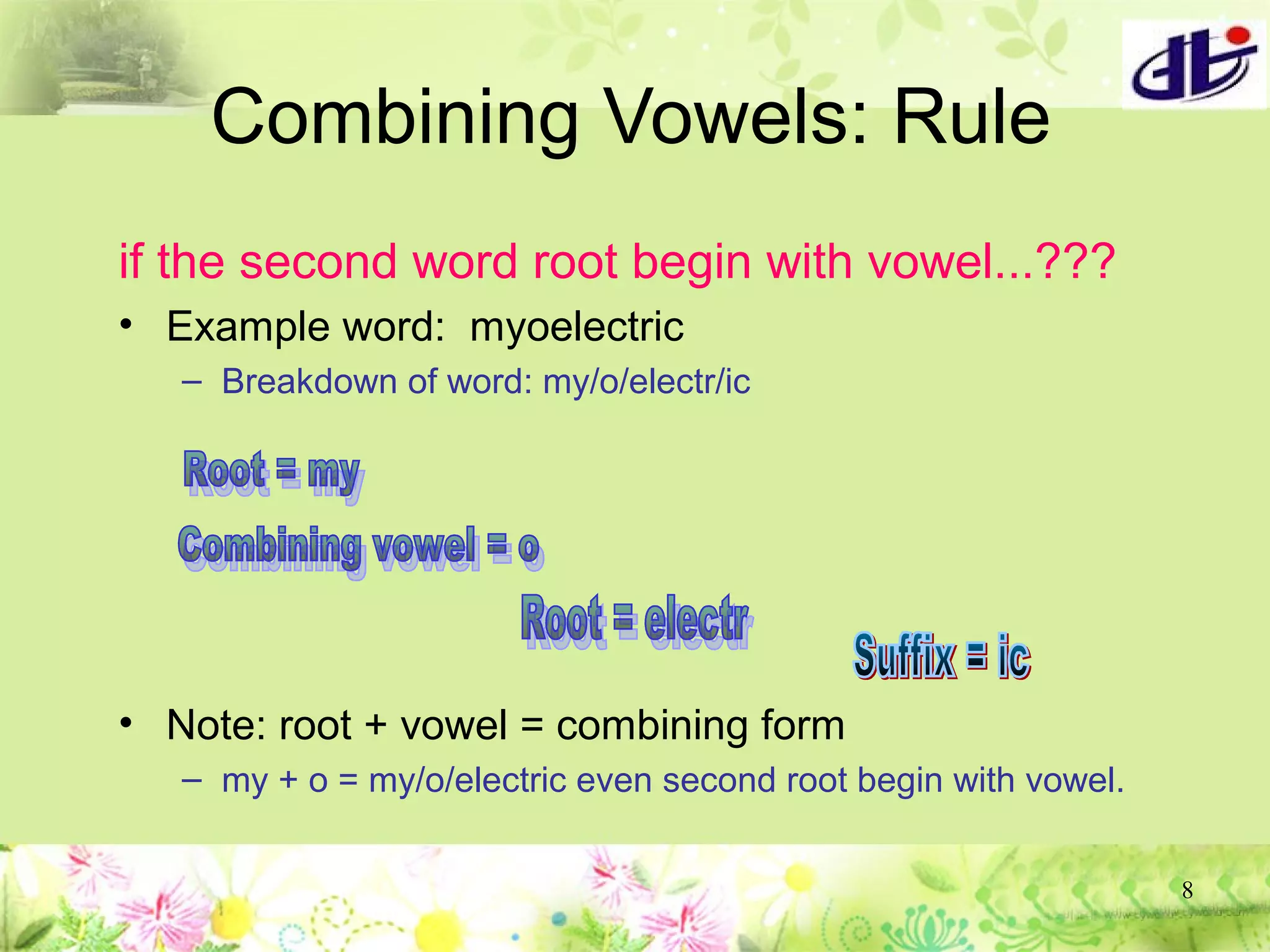 Chapter01 wordbuildingrules Terminology | PPT