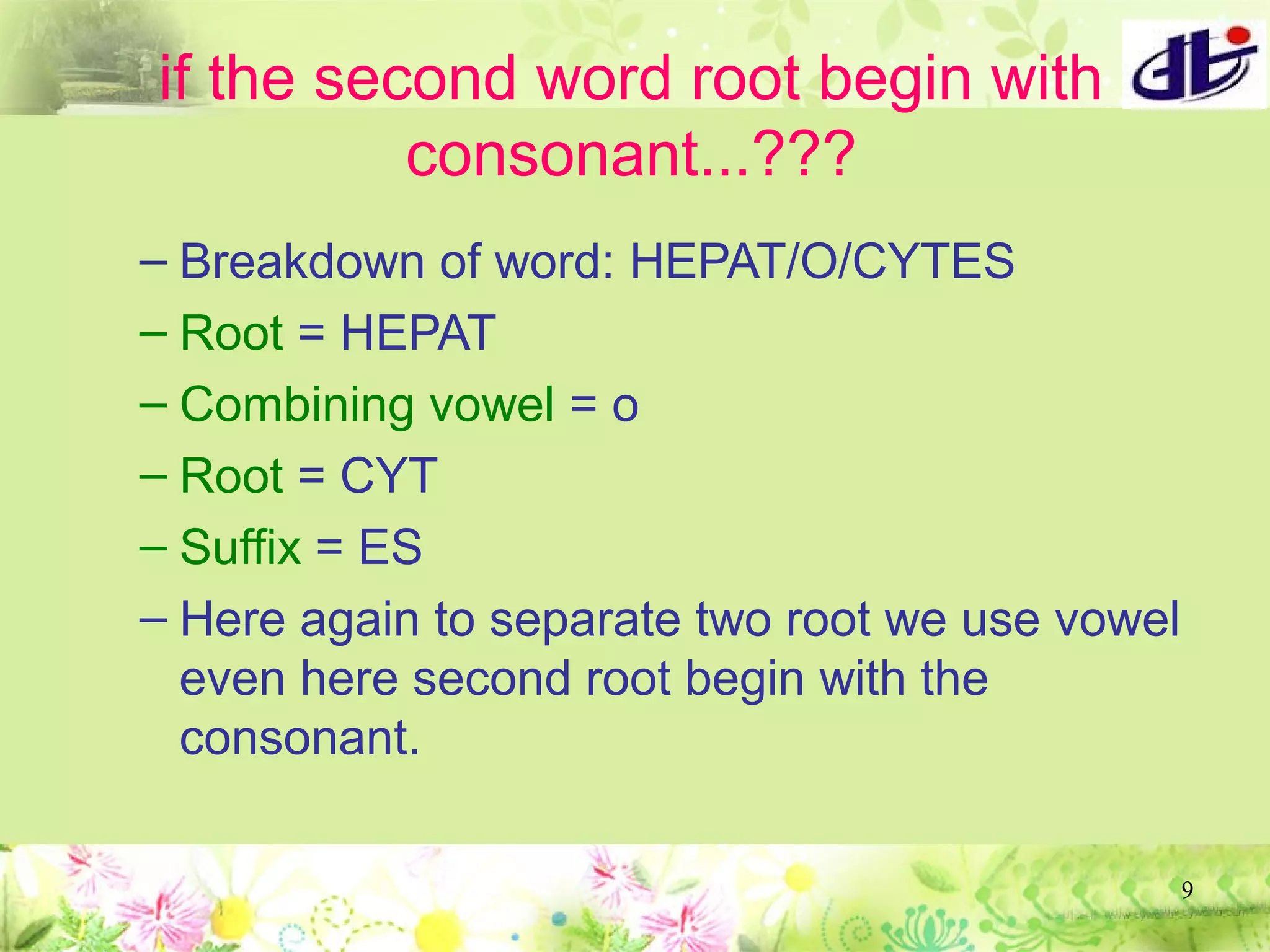 Chapter01 wordbuildingrules Terminology | PPT
