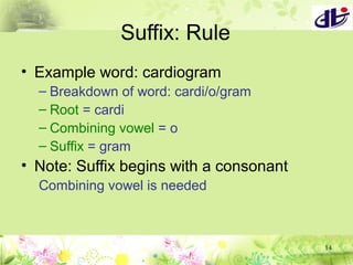 Chapter01 wordbuildingrules Terminology | PPT