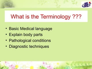 Chapter01 wordbuildingrules Terminology | PPT