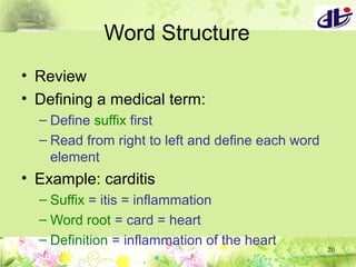 Chapter01 wordbuildingrules Terminology | PPT