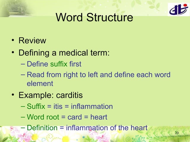Chapter01 wordbuildingrules Terminology | PPT