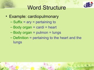 Chapter01 wordbuildingrules Terminology | PPT