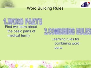 Chapter01 wordbuildingrules Terminology | PPT