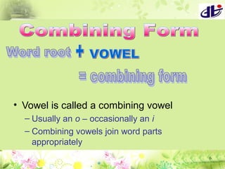 Chapter01 wordbuildingrules Terminology | PPT