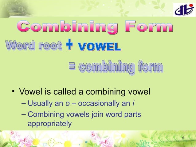 Chapter01 wordbuildingrules Terminology | PPT