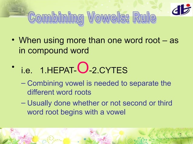 Chapter01 wordbuildingrules Terminology | PPT