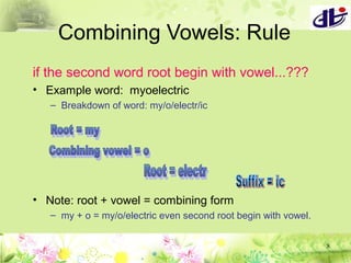Chapter01 wordbuildingrules Terminology | PPT