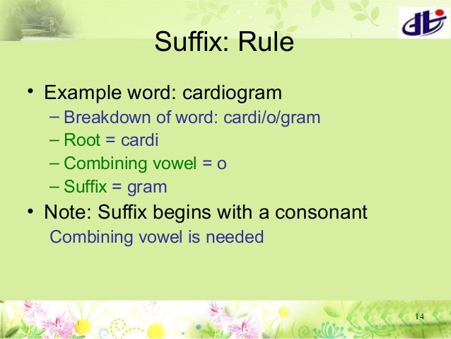 Chapter01 Wordbuildingrules Terminology chapter01-wordbuildingrules-terminology