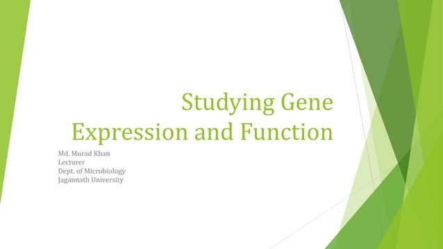 Studying gene expression and function | PPTX | Chemistry | Science