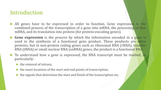 Studying gene expression and function | PPTX