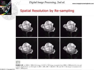 Chapter02.ppt of Image processing and Applications | PPT