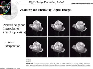 Chapter02.ppt of Image processing and Applications | PPT