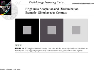 Chapter02.ppt of Image processing and Applications | PPT