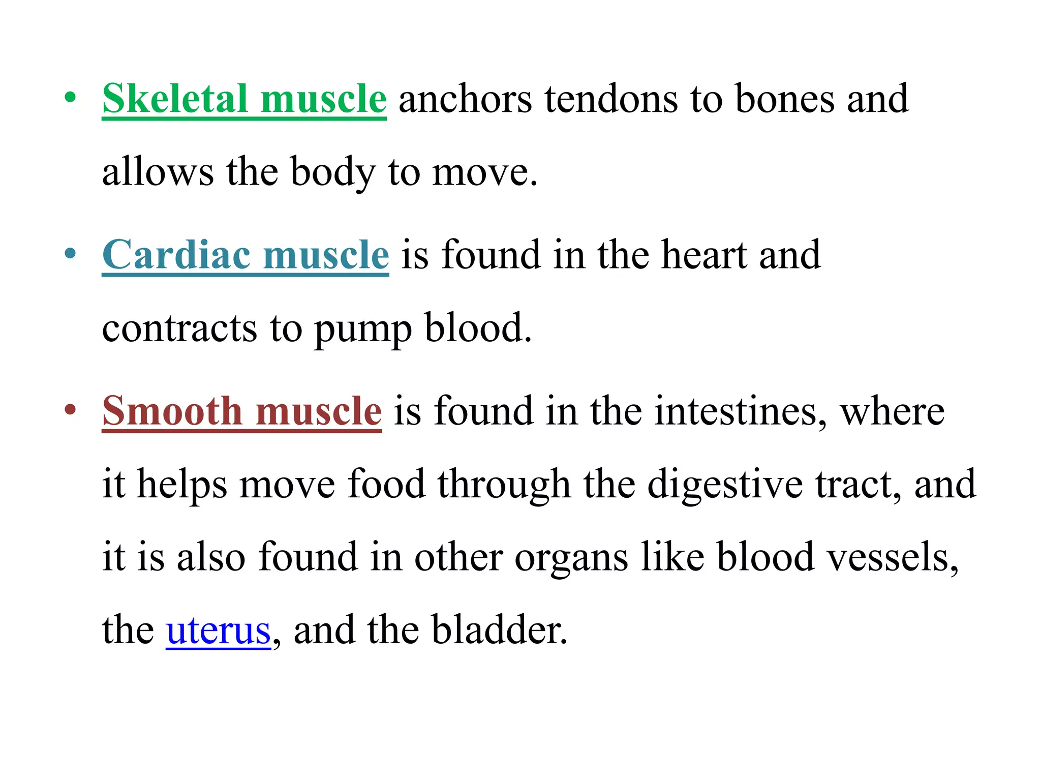 Tissue its types, structure and function | PPTX