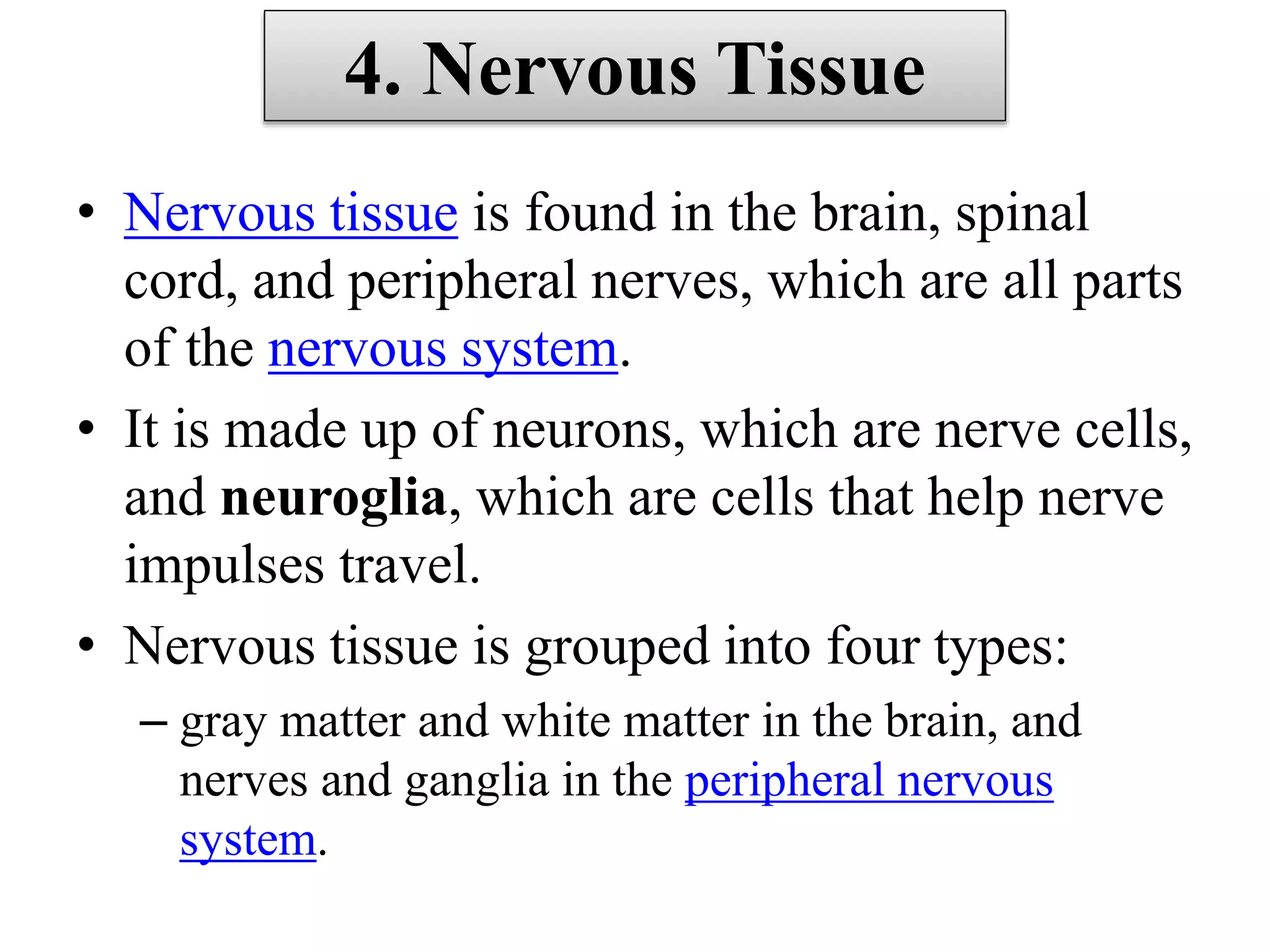 Tissue its types, structure and function | PPTX