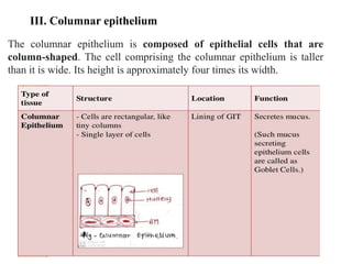Tissue its types, structure and function | PPTX