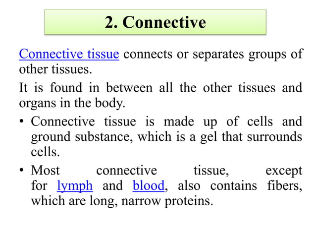 Tissue its types, structure and function | PPTX