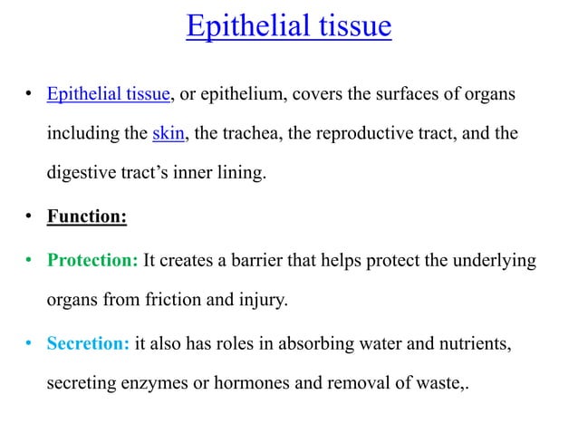 Tissue its types, structure and function | PPTX