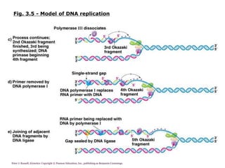 chapter_03_Cell Biology_Lecture on Cell Biology.ppt
