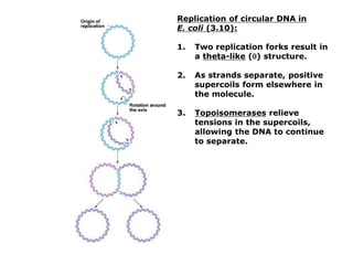 chapter_03_Cell Biology_Lecture on Cell Biology.ppt