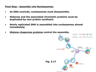 chapter_03_Cell Biology_Lecture on Cell Biology.ppt