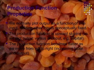 Production, Output, & Employment | PPT