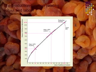 Production, Output, & Employment | PPT