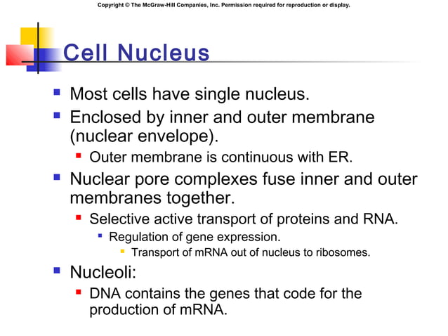 Chapter03 cell structure and genetic control | PPT