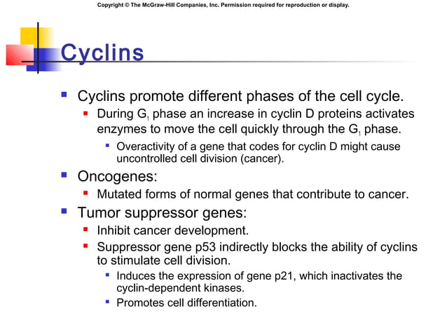 Chapter03 cell structure and genetic control | PPT