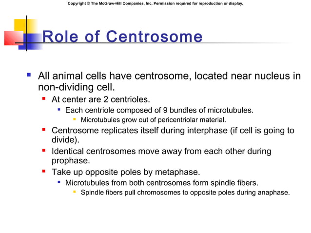 Chapter03 cell structure and genetic control | PPT