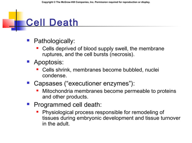 Chapter03 cell structure and genetic control | PPT