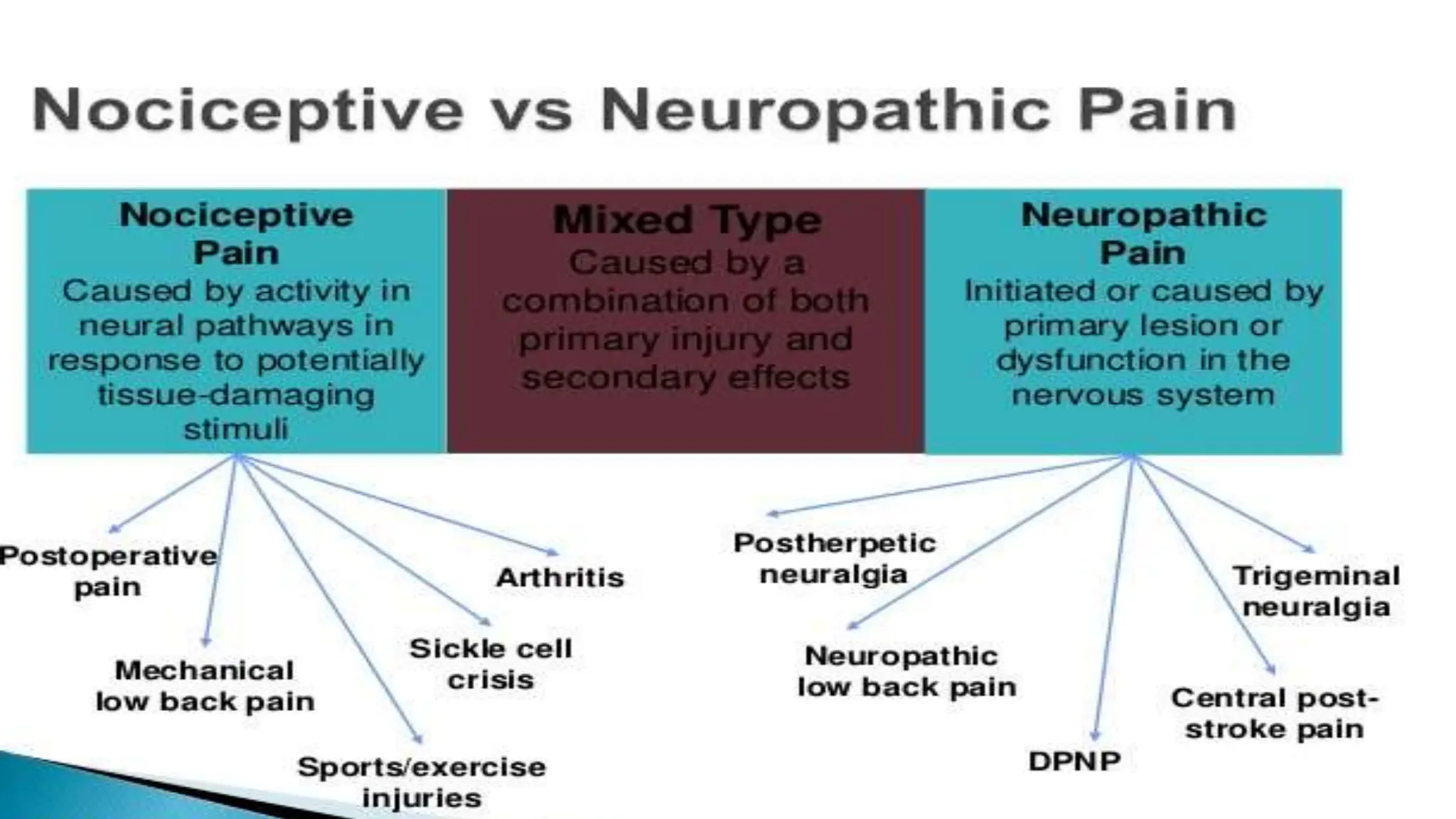 what is Pain? Its types. (Nociceptive & Neuropathic Pain), & acute and ...