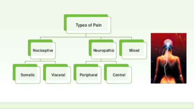 what is Pain? Its types. (Nociceptive & Neuropathic Pain), & acute and ...