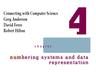 Numbering system data representation | PDF | Computing | Technology & Computing