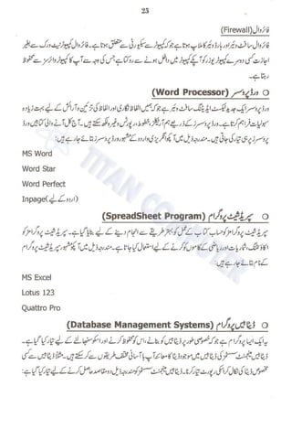 Chapter 04 What is Software ~ Urdu Guide | PDF