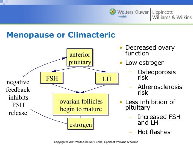 Menopause Fsh Levels Chart