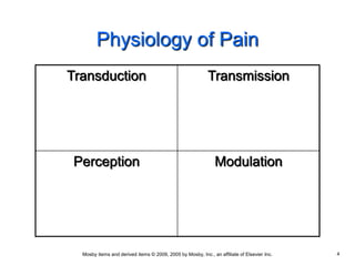 Chapter_043 Pain.ppt