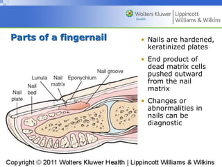 Week 5 Powerpoint Chapter 45 | PPT