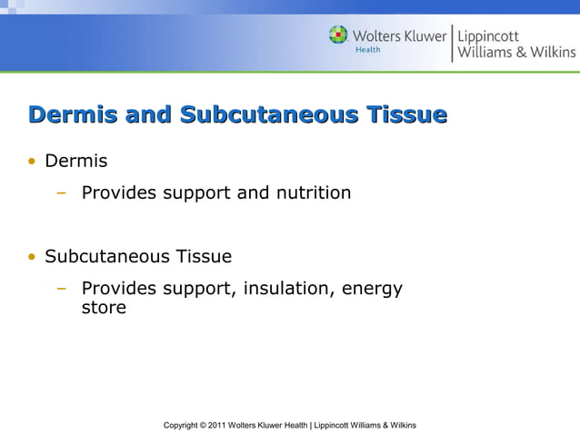 Week 5 Powerpoint Chapter 45 | PPT