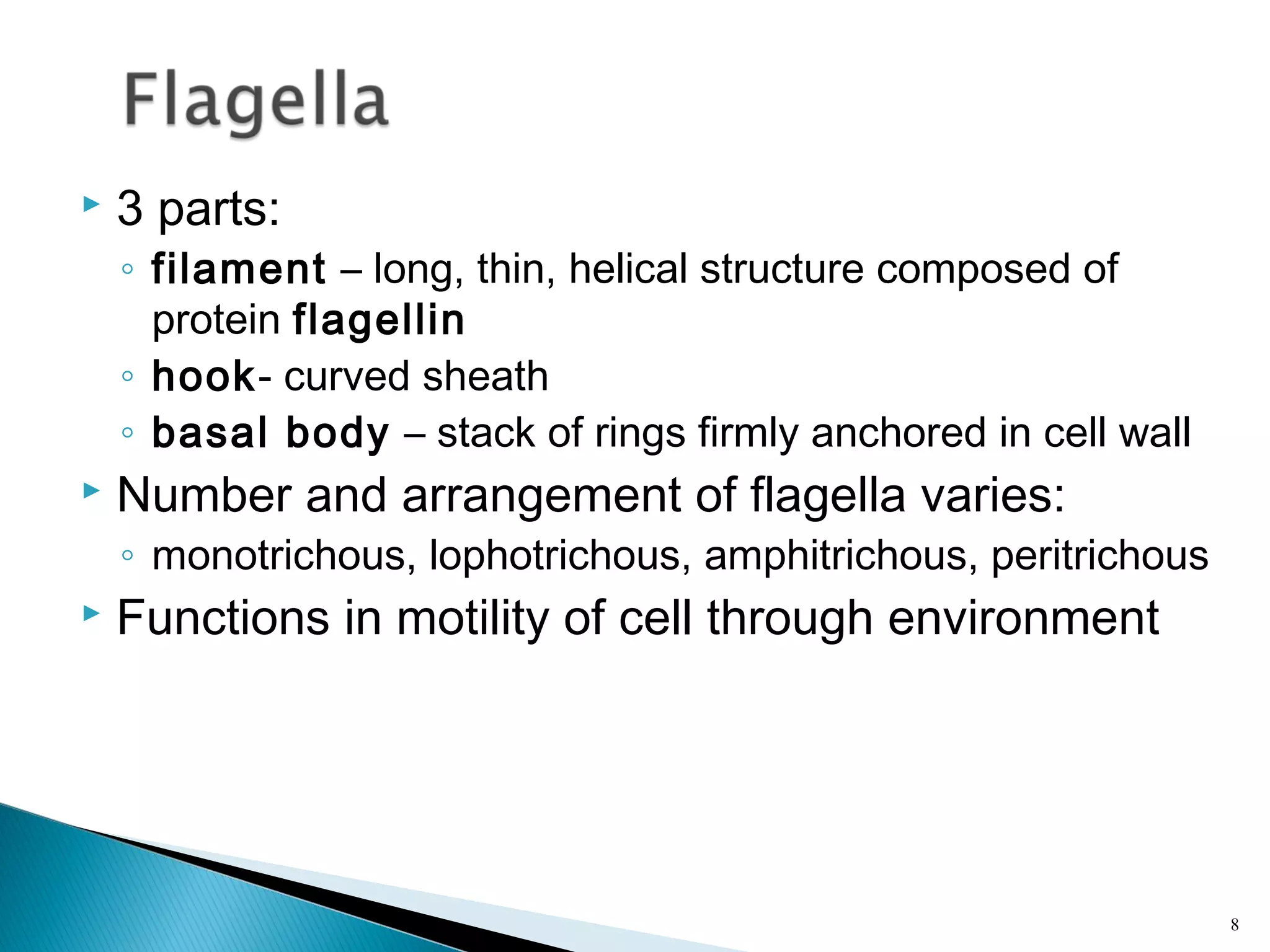 Chapter04 lecture introduction to cells(microbiology) | PPT
