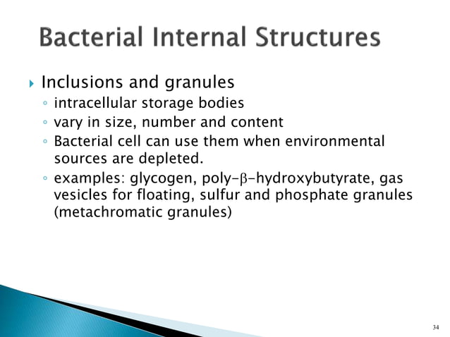 Chapter04_lecture.ppt