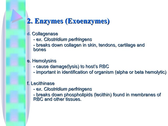 MICRO Chap 4 Part 1 Human and Microbial Interactions | PPT