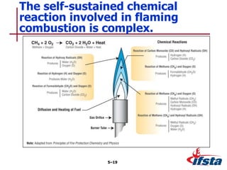 Scientific Terminology | PPT