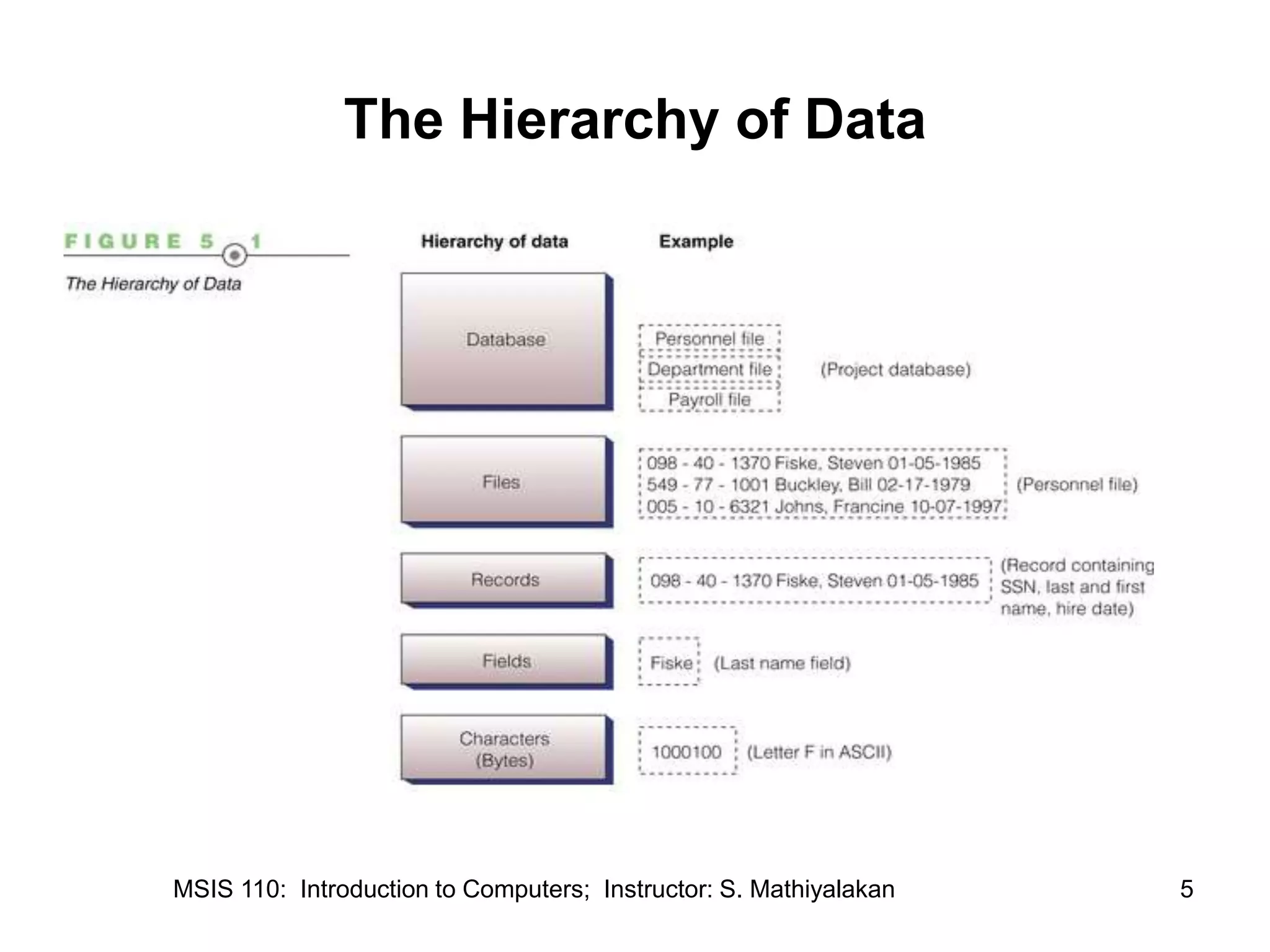 Chapter 5 - Organizing Data and Information | PPT