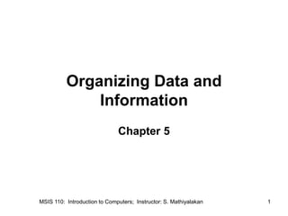 Chapter 5 - Organizing Data and Information | PPT