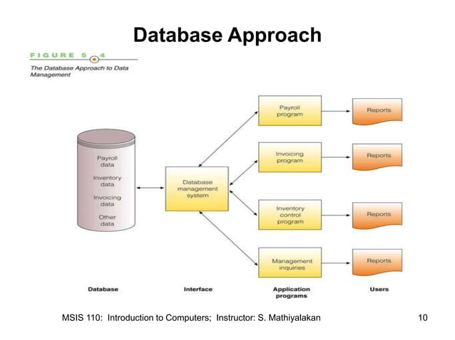 Chapter 5 - Organizing Data and Information | PPT | Databases | Computer Software and Applications